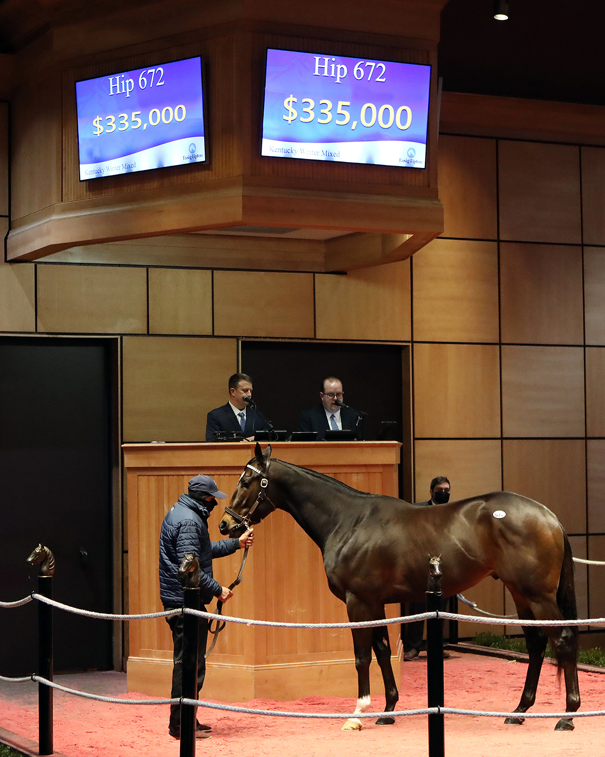 Hello Hot Rod Brings $335,000 in Fasig February Debut – Elite Sales